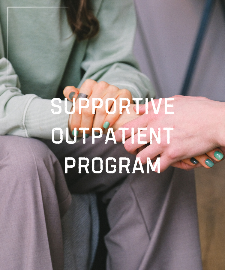 SUPPORTIVE OUTPATIENT PROGRAM – DWI Education Programs of Texas, LLC